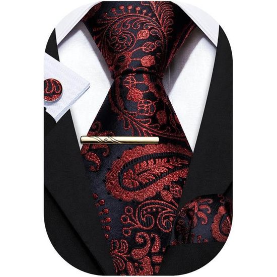 Cravates Pour Homme En Soie, Couleur Unie, Mouchoir Et Boutons De ...