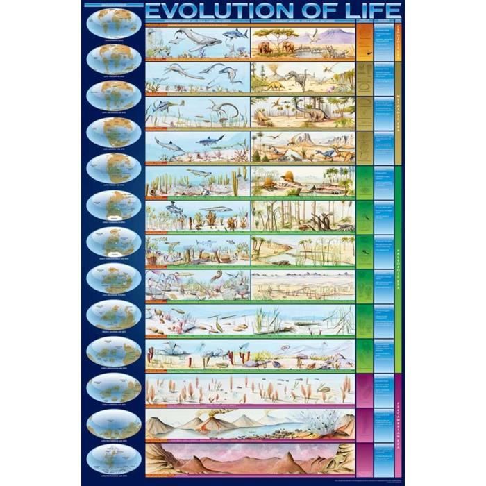 Empire Poster Evolution Of Life La Evolution Accessoires De Fixation ...
