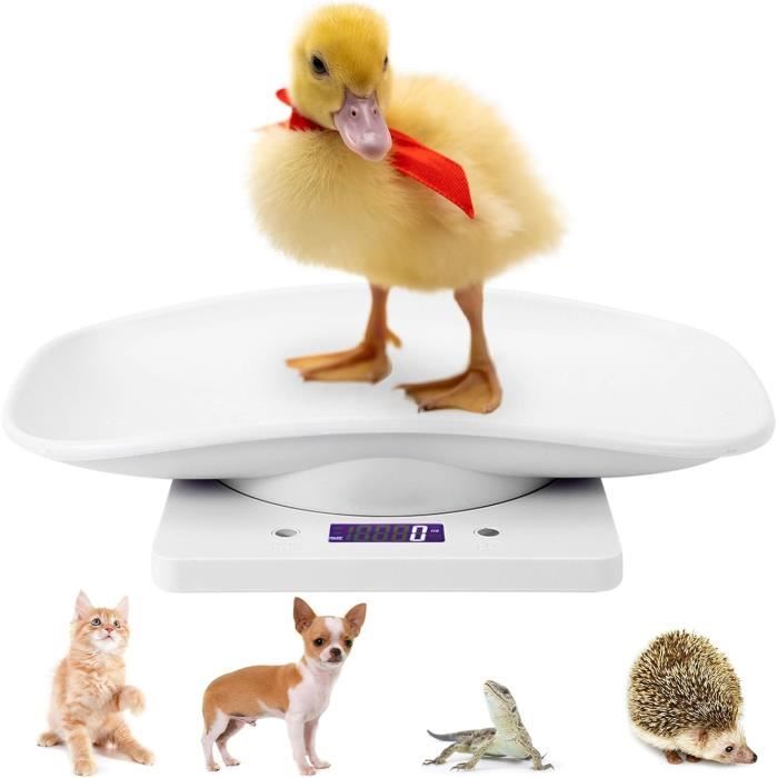 Balance Numérique Pour Animaux De Compagnie 10 Kg-1 G, Balance De Poids ...