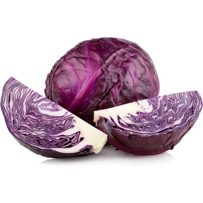 250 Graines de Chou Rouge - plantes jardins potager légumes - semences ...