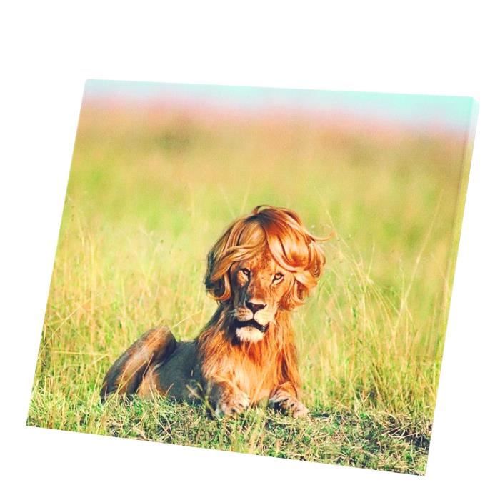 Tableau Décoratif Brigitte La Lionne Humour Afrique Animaux (47 cm x 40 ...