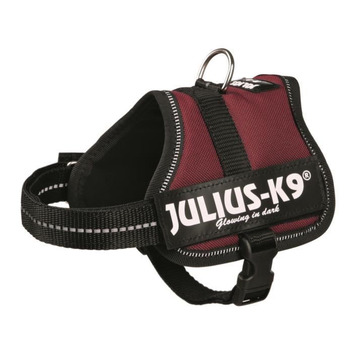 Harnais Power Julius-K9 - Mini-Mini - S : 40-53 cm-22 mm - Bordeaux ...