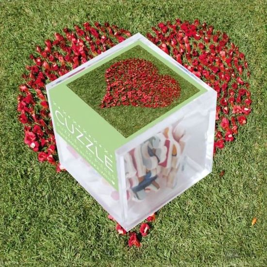 Puzzle amour en boîte cubique - Cadeau Maestro Rouge Et Vert ...