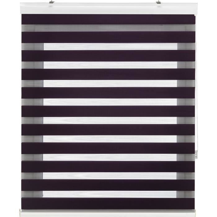Vela Store enrouleur double tissage prime avec galerie | Violette ...