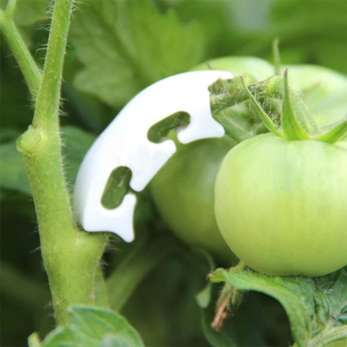 Clips de fixation pour plantes, légumes, tomates, 50 pièces-lot, pinces ...