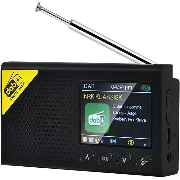 Radio Dab, Dab+ Bluetooth Portable | Batterie Rechargeable ou ...