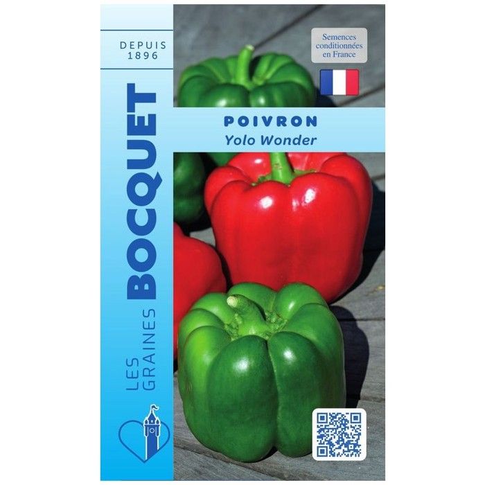 Graine - Semence - Poivron Yolo Wonder - Cdiscount Jardin