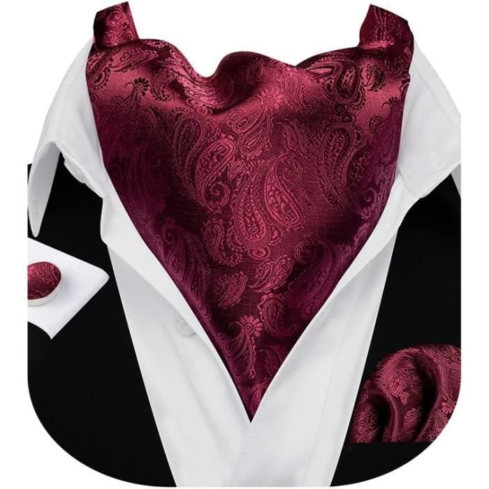 Homme Paisley Ascot Cravate Avec Mouchoir Soie Loisir Floral Cravate ...