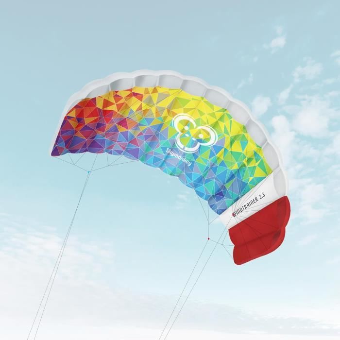 Windtrainer Parafoil 4-Fils Cerf-Volant (230Cm - 330Cm Largeur D ...