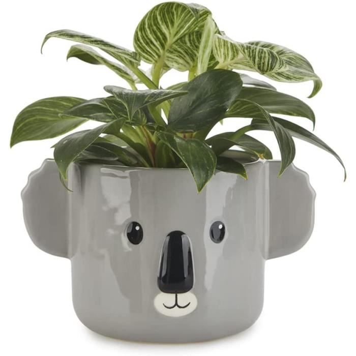 Pot De Fleurs Koala Couleur Gris Pot Original En Forme De Koala ...
