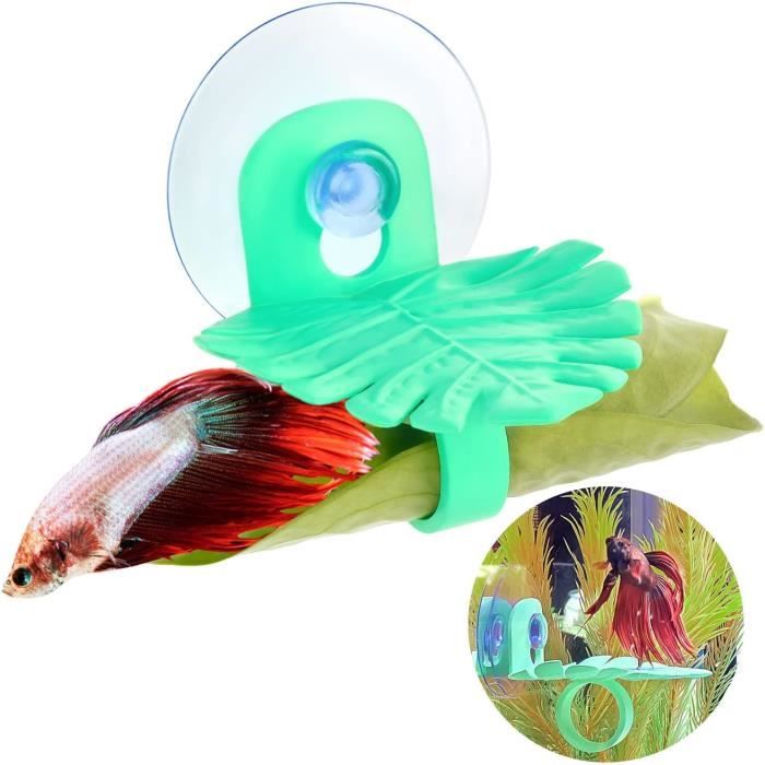 Betta Hamac Betta Fish Bed Monstera Feuilles Betta Fish Leaf Pad ...