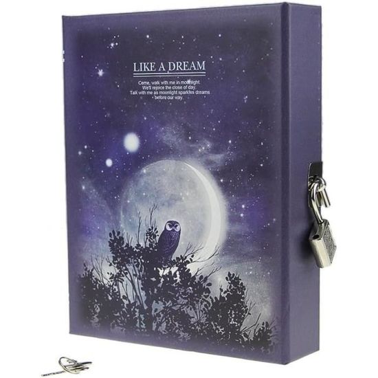 Carnet Secret Cahier de cadenas Journal Intime Cahier avec Couverture ...