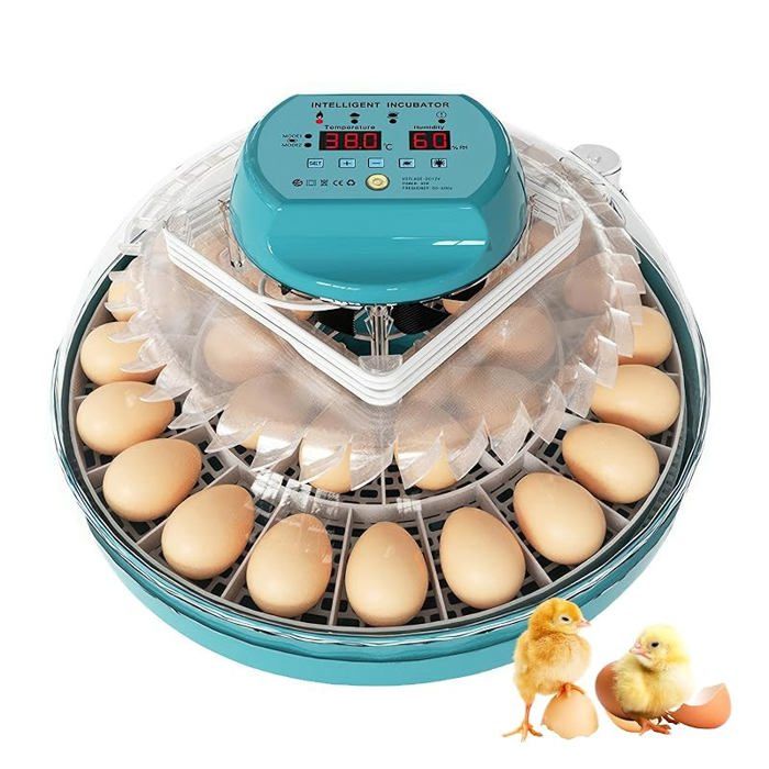 Couveuse poulet sécurité poussins 220V COUVEUSE - Cdiscount