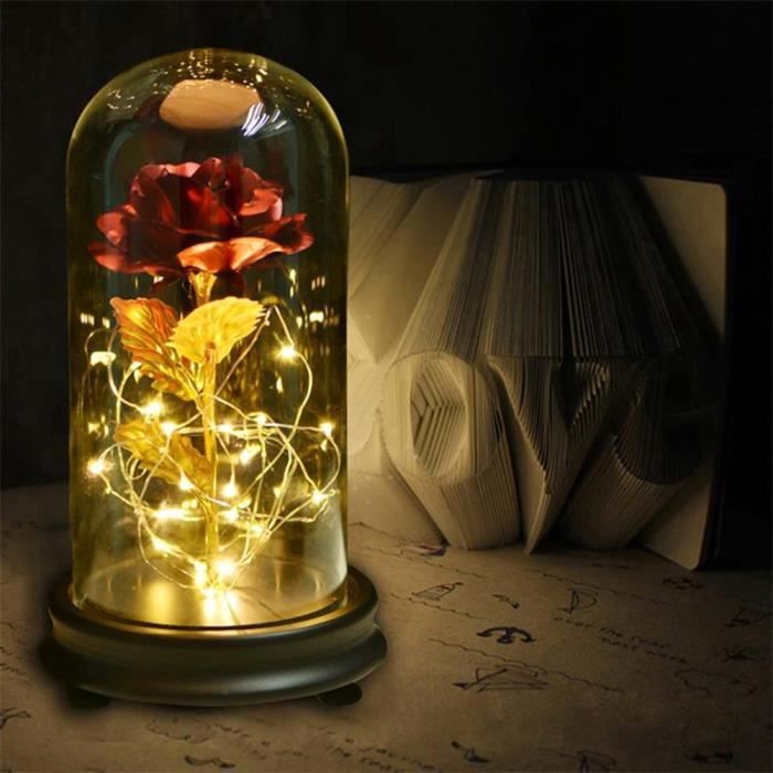 La Rose Eternelle et lumière LED “Belle et la bête ”, meilleur cadeau ... La Rose Eternelle et lumière LED “Belle et la bête ”, meilleur cadeau ...