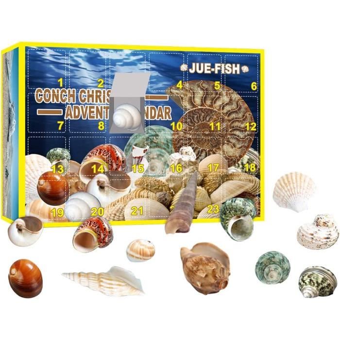 Calen ier de l'Avent avec calen ier de l'Avent - Kit d'activités - 24 ...