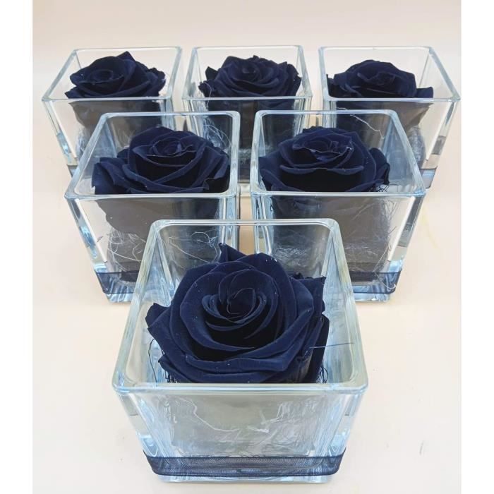 Rose éternelle noire. Rose éternelle noire. Rose préservée noire en ...