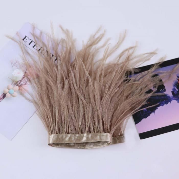 PLUME DE DECORATION,16-10-15Cm--Plume'autruche rose 1 mètre, garniture ...