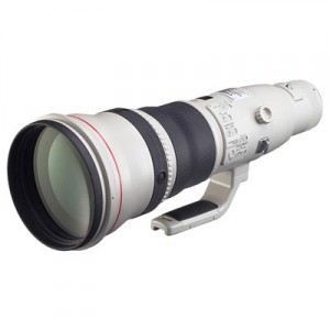 Canon EF 800mm f -5.6 IS USM - Cdiscount Appareil Photo
