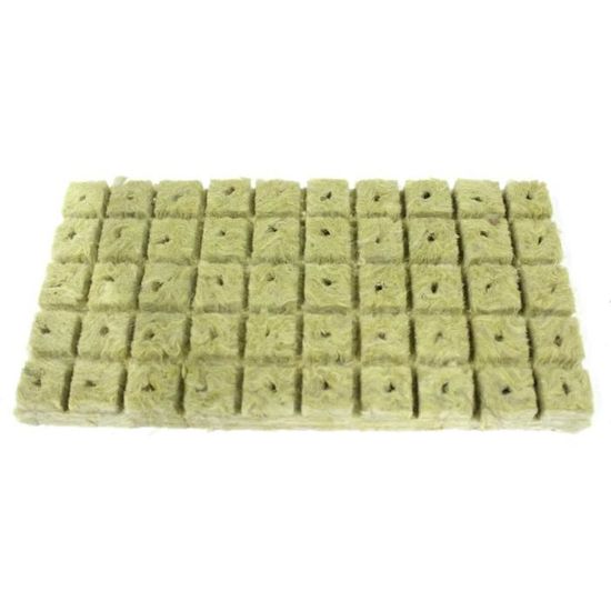 BeGrit 1 inch Rockwool Cubes Propagation Cubes with Planting Holes ...