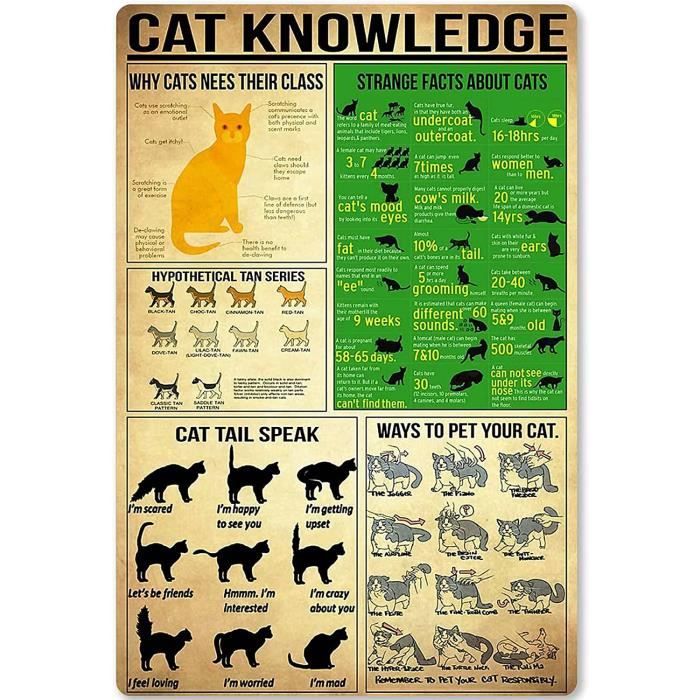 Cat Knowledge Metal Sign Basic Infographic Tin Poster Home Kitchen Cafe ...