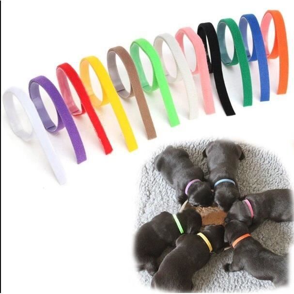 12Pcs/lot Dog's Collars Puppy Kitten Identification Collar Pets ...
