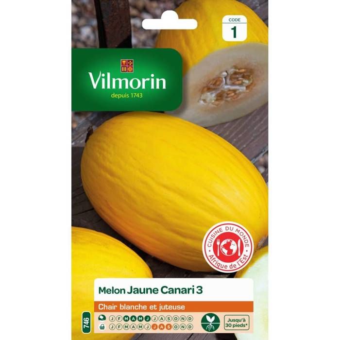 Sachet graines melon jaune canari- - Cdiscount Jardin