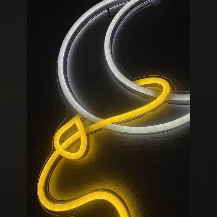 Lune Avec Laisse Lumière Néon Led Néon Panneau Publicitaire Lampe Art ...