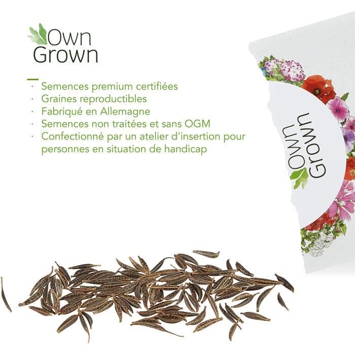 Graines de fleurs comestibles Cosmos Annuel : Kit graine de fleurs pour ...