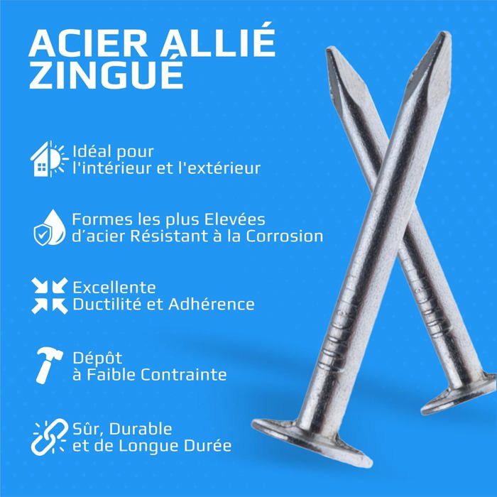 Clou a Tete Toiture en Feutre 25mm(Paquet de 100)Clous Grosse Tête ...