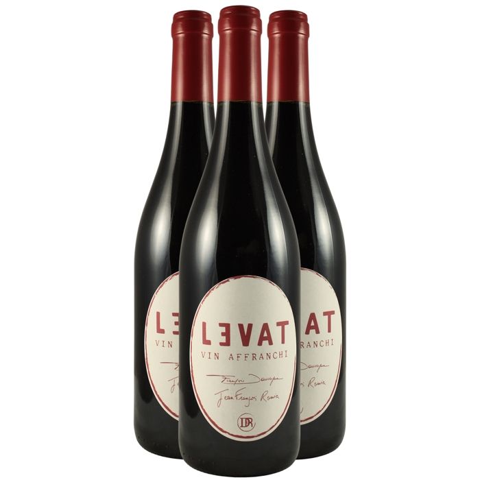 Dauvergne - Ranvier Levat 2019 - Vin de France - Vin Rouge (3x75cl ...