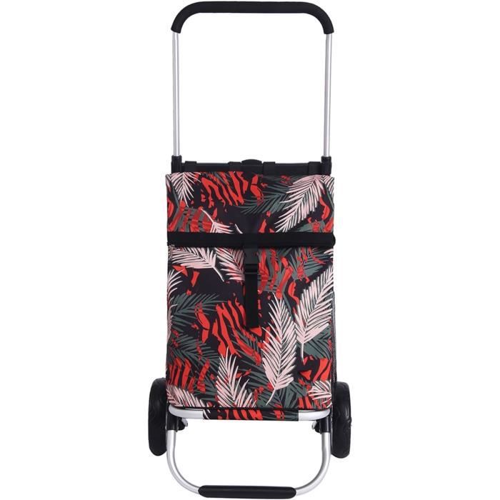 Chariot De Courses 2 Roues Chariot De Courses Télescopique, Grand ...