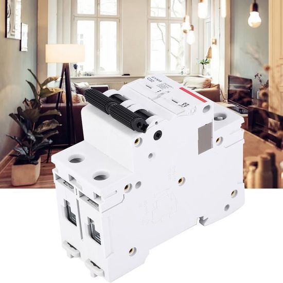 Disjoncteur miniature - EJ.LIFE - GYM9 - 2P - 16/25/32A - Protection contre surcharges et courts ...