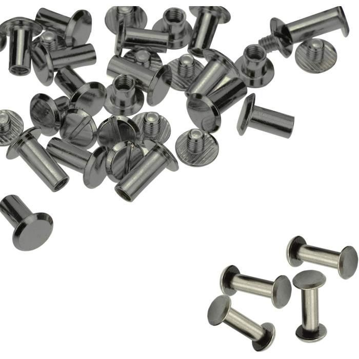 Lot De 10 Rivets À Vis Chicago À Tête Plate En Laiton Durable, Anti ...
