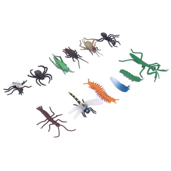 SED kit de modèle d'insecte 12 pièces modèle d'insecte de Simulation ...