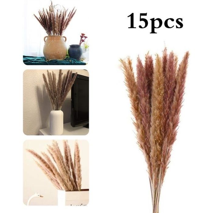 15 pcs naturel séché roseau fleurs Bouquets herbe de pampa pour la ...