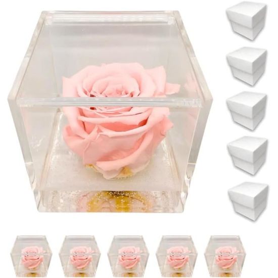 Premiumrose 5 Cubes Roses Éternel Stabilisées Et Parfumées De 5 Cm Avec ...