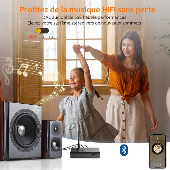 Transmetteur Récepteur Bluetooth 1Mii DS700 HiFi avec DAC Audiophile ...