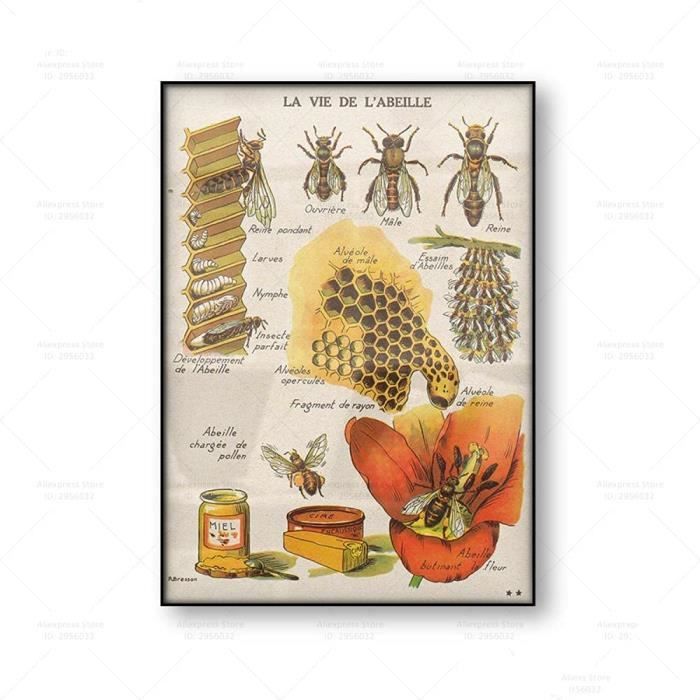 Posters La Vie des Abeilles Affiche Ancienne Vintage Naturel Affiche ...
