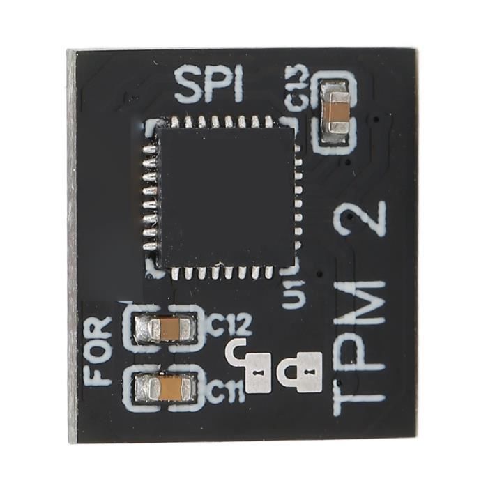 HURRISE module TPM2.0 12 broches Module TPM 2.0 pour MSI 12Pin SPI TPM2.0 Performance stable et ...