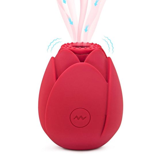 Vibromasseur de stimulation clitoridienne, stimulateur de clitoris ...