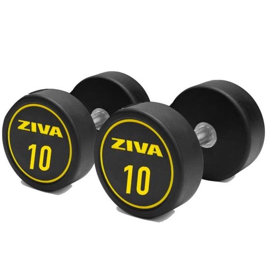 ZIVA Performance Haltére Ronde 10kg - Noir- Jau - Cdiscount Sport