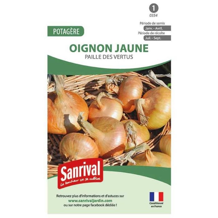 Graines Oignon Jaune Paille des Vertus - Cdiscount Jardin