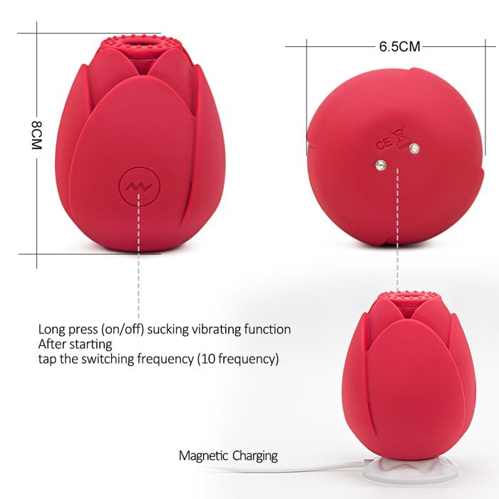 Vibromasseur de stimulation clitoridienne, stimulateur de clitoris ...