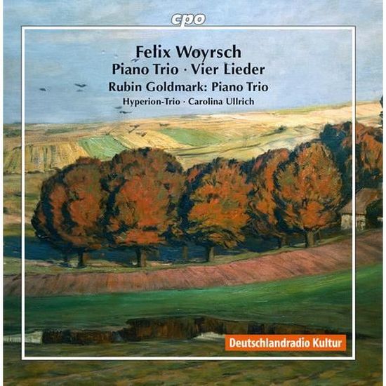 Goldmark / Woyrsch / Hyperion-Trio / Ullrich - Felix Woyrsch: Piano ...