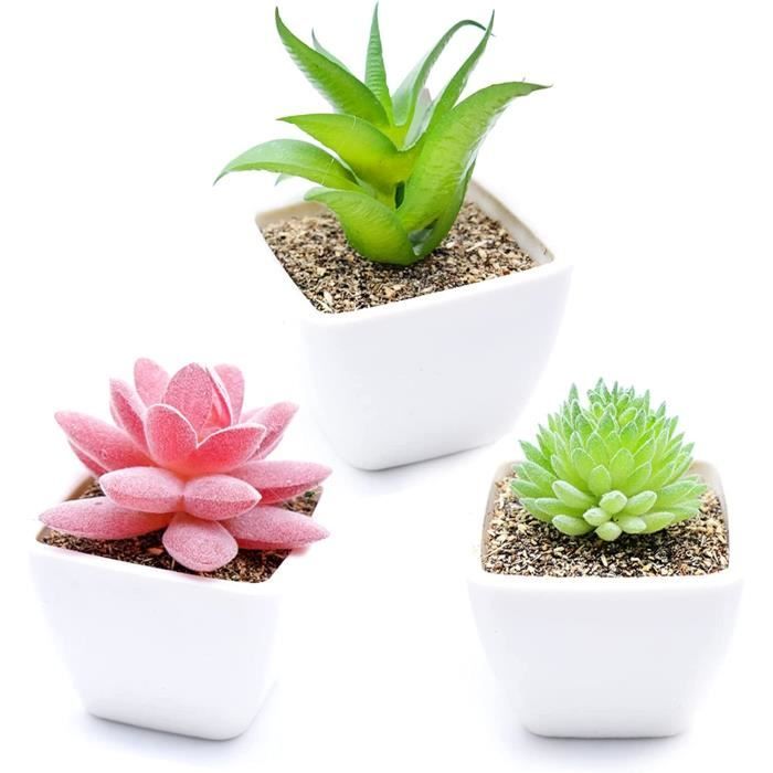 Cisolen 3 Pièces Mini Plantes Succulentes Artificielles avec Pot ...