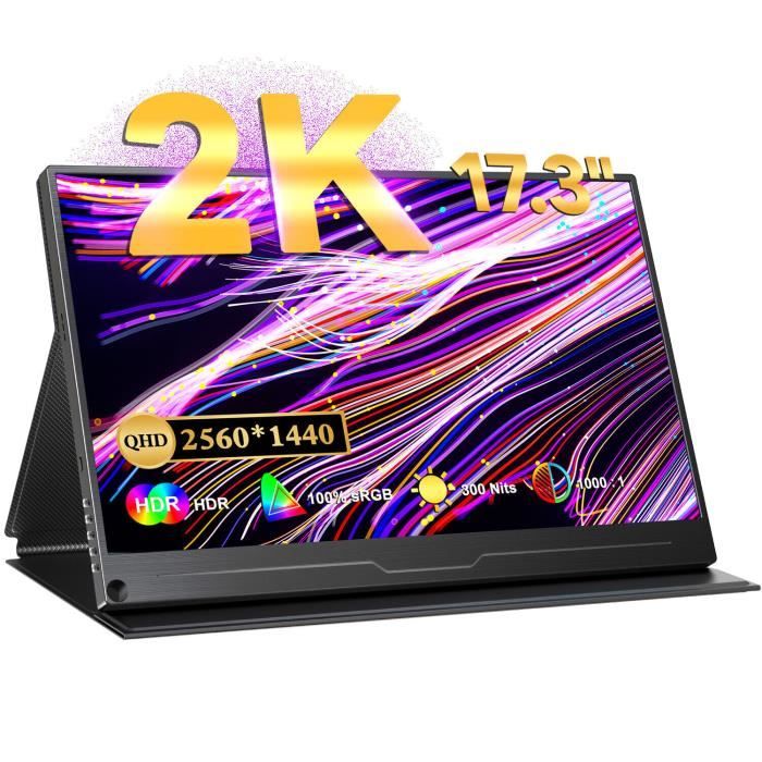 Ecran Pour PC Portable Moniteur de jeu Freesyn 17.3 pouces 2K HDMI USB ...