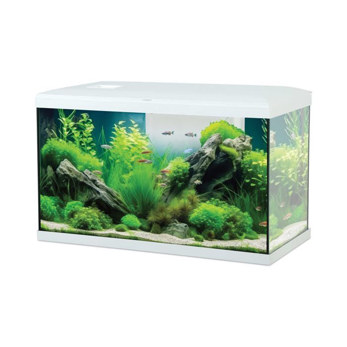 Aquarium poisson Tana LED 60cm blanc - Zolux Blanc - Cdiscount Animalerie