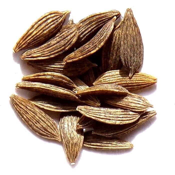 Laitue Cressonnette Marocaine - 70 graines - Cerbiatta Catalogne ...