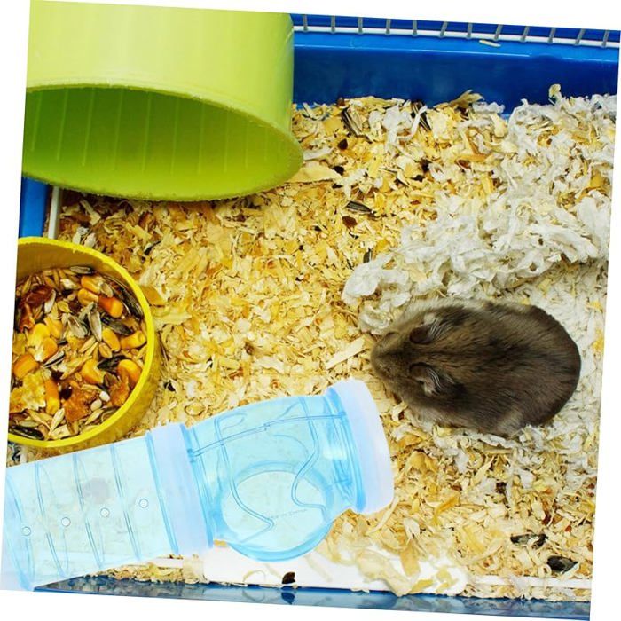 Set De Tubes pour Hamster Tunnel Labyrinthe DIY Modulable Accessoires ...