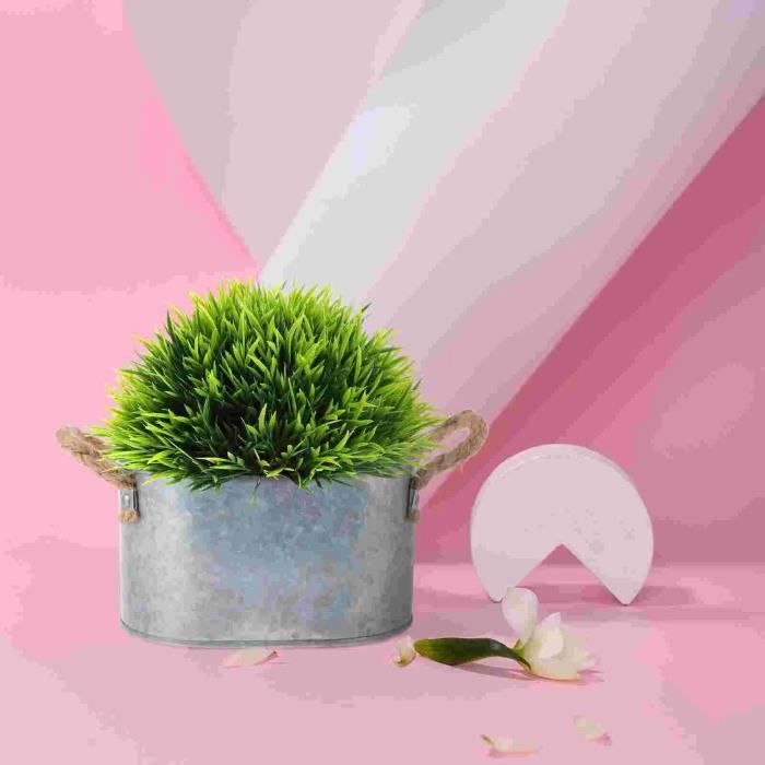 14X10X8CM - Pot de fleurs ovale en fer galvanisé, Pot de jardinière en ...
